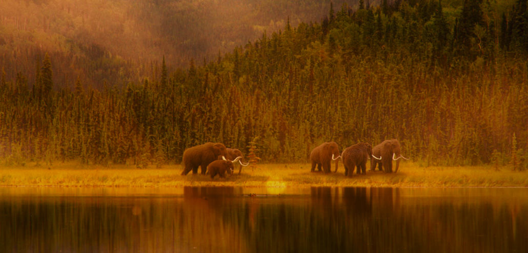 HUNT FOR THE OLDEST DNA - Doclands